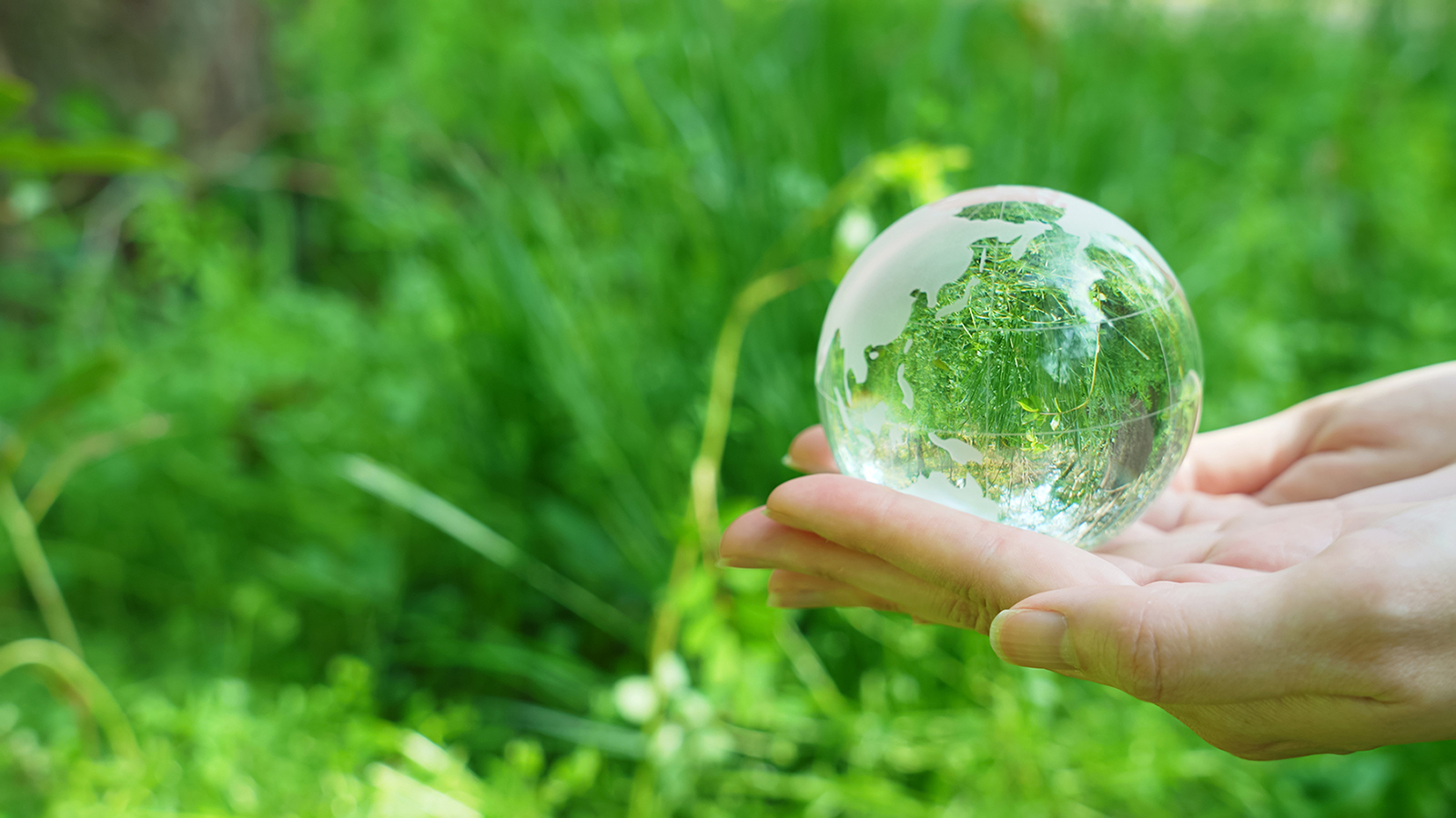 Scope3（スコープ3）とは？開示が求められている背景や算定方法を解説 | BtoBプラットフォーム請求書